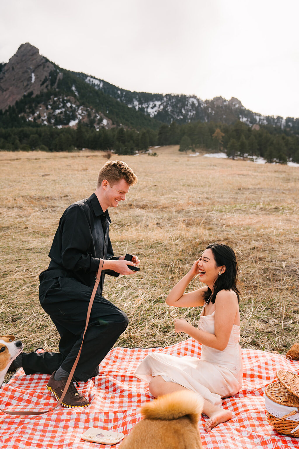 Best of 2024 | Year in Review | Colorado Wedding Photographer ...