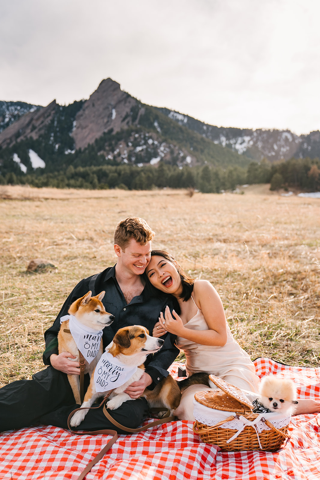 Best of 2024 | Year in Review | Colorado Wedding Photographer ...