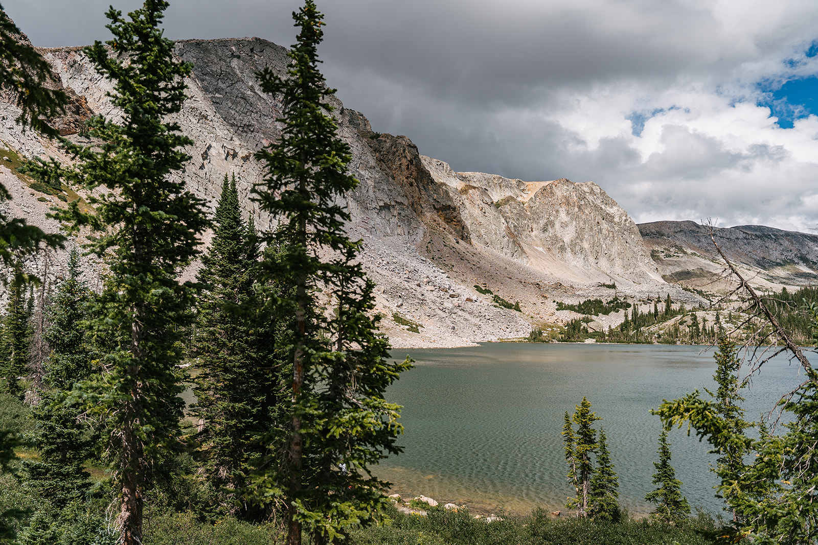 Medicine Bow National Forest Wedding | Gabby + Sam - Colorado Wedding ...